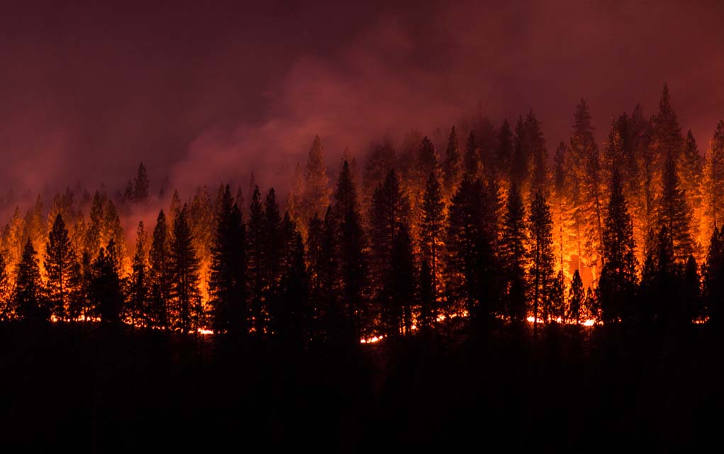 Stay Cool When Wildfires Threaten | Tactical News